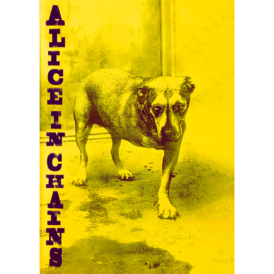 Плакат Alice in Chains (Dog Album) - купить Плакат Alice in Chains в ...